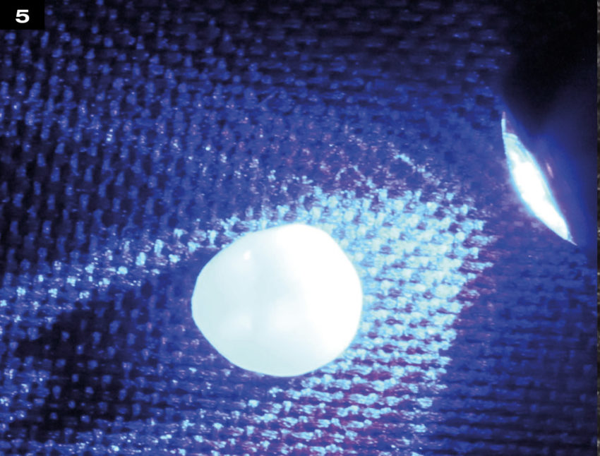 PEDIATRIC CROWN – edelweiss dentistry products GmbH